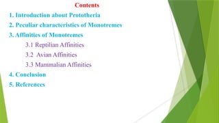 PROTOTHERIA AND AFFINITIES OF PROTOTHERIA | PPTX