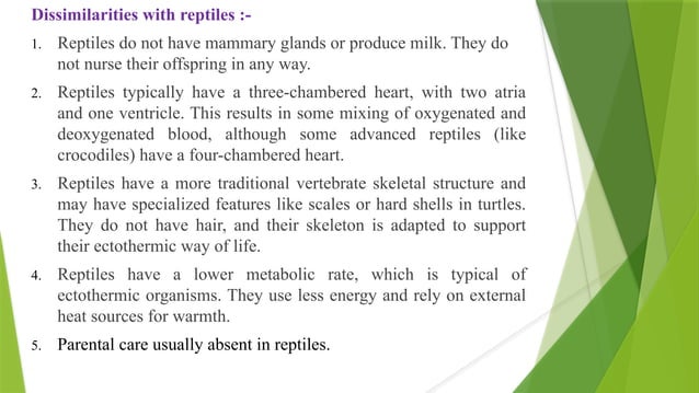 PROTOTHERIA AND AFFINITIES OF PROTOTHERIA | PPTX