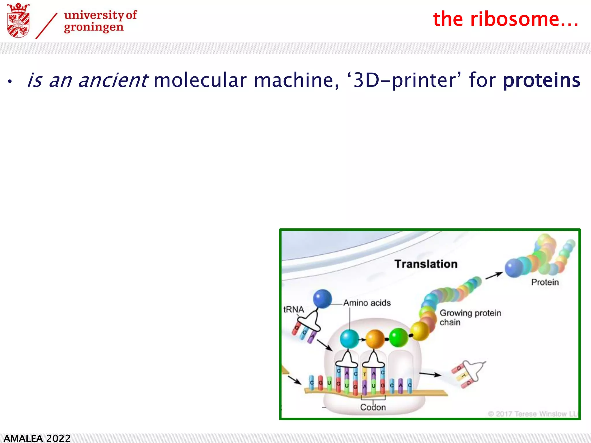 prototypes-AMALEA.pdf