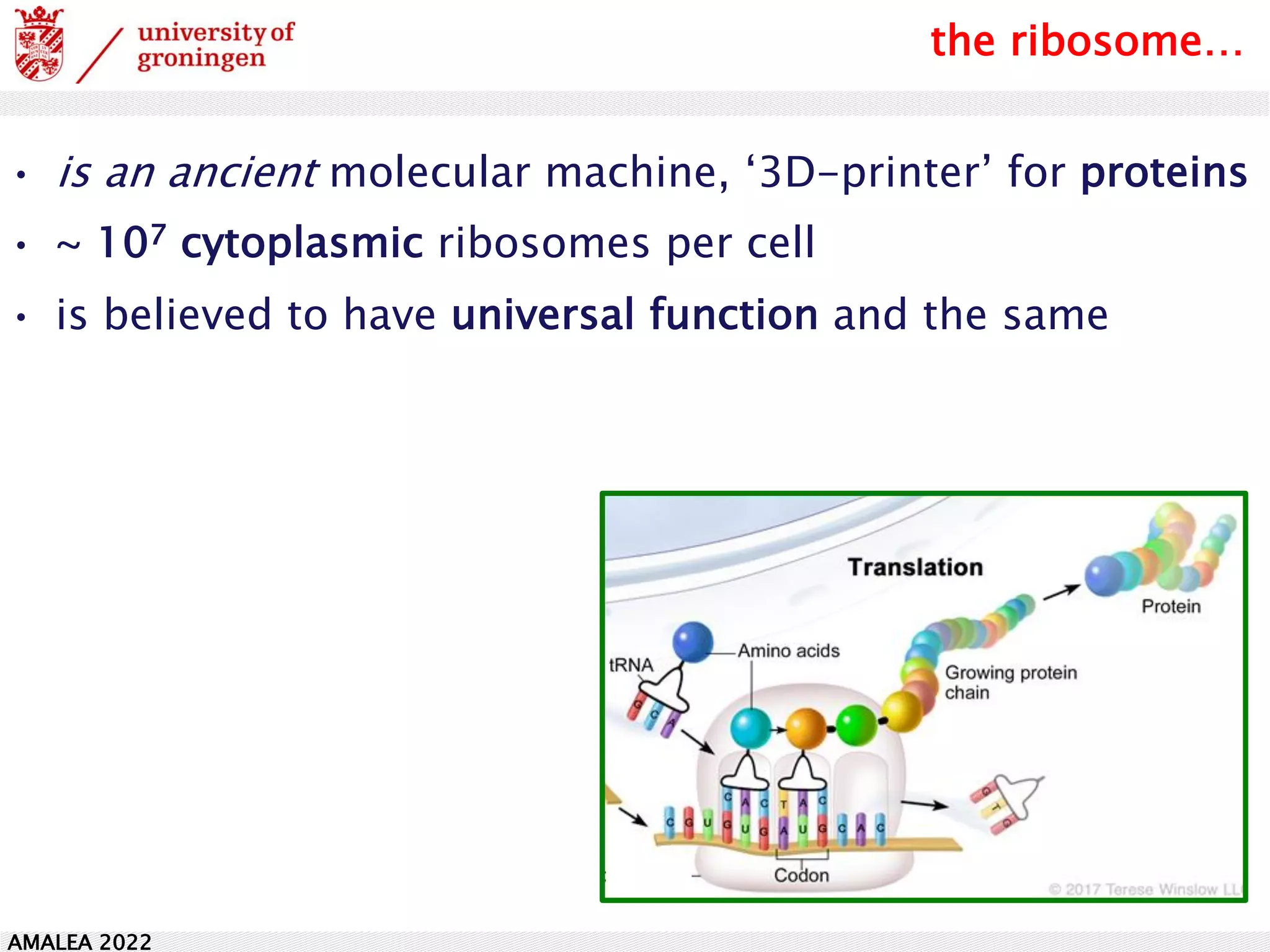 prototypes-AMALEA.pdf