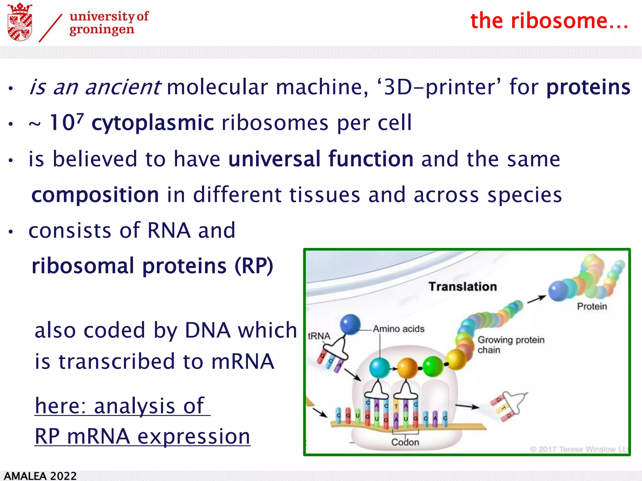prototypes-AMALEA.pdf