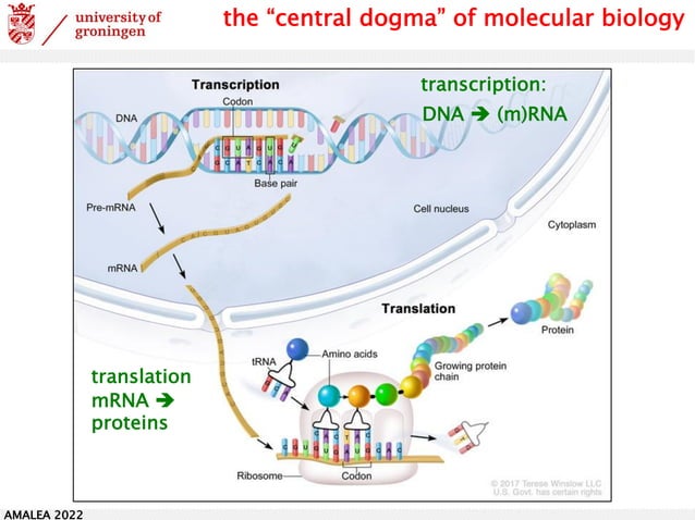 prototypes-AMALEA.pdf