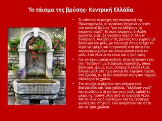 Πρωτοχρονιάτικα Έθιμα | PPTX