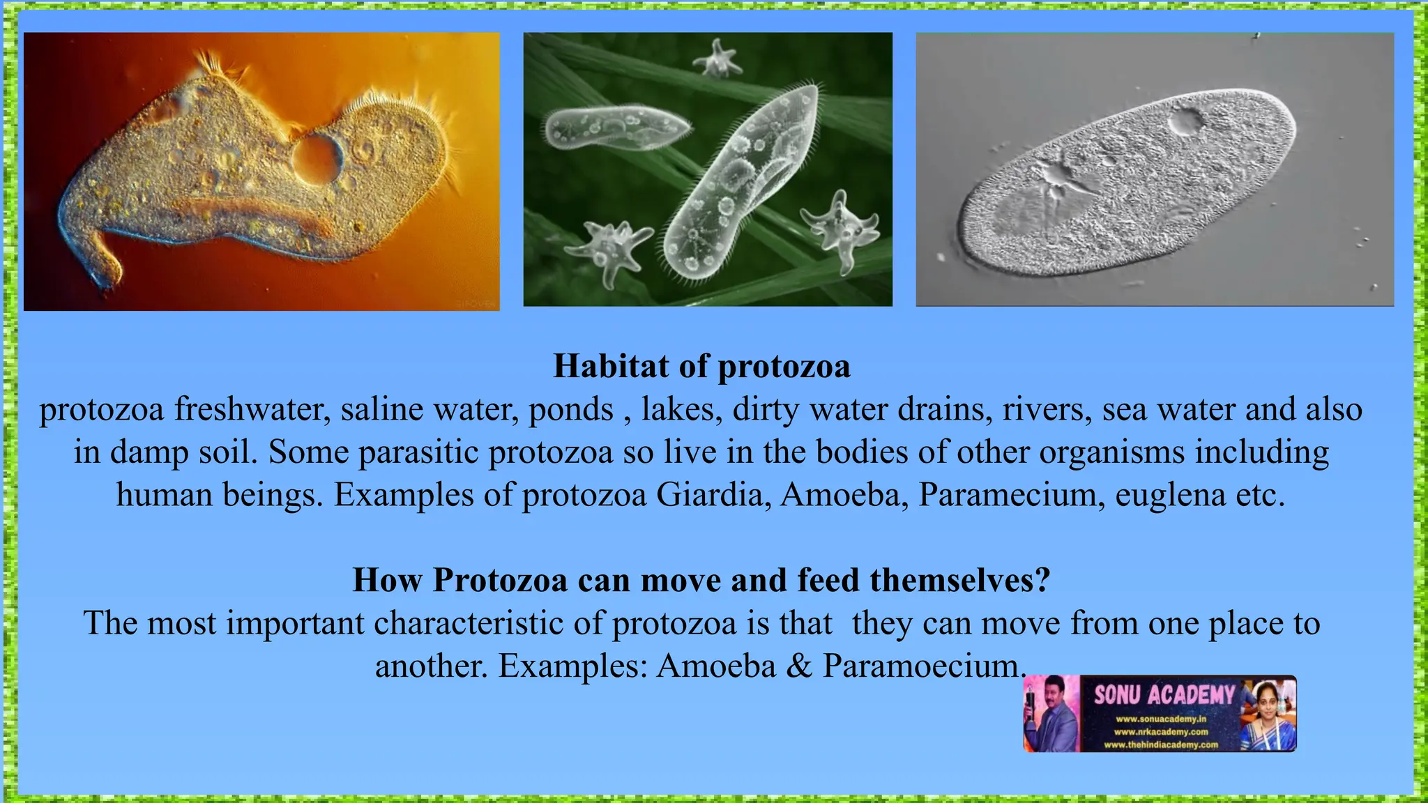 Microorganisms: Friend and Foe –PROTOZOA Chapter-2 Class 8- CBSE | PPTX