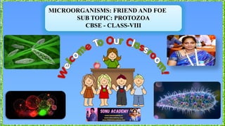 Microorganisms: Friend and Foe –PROTOZOA Chapter-2 Class 8- CBSE | PPTX