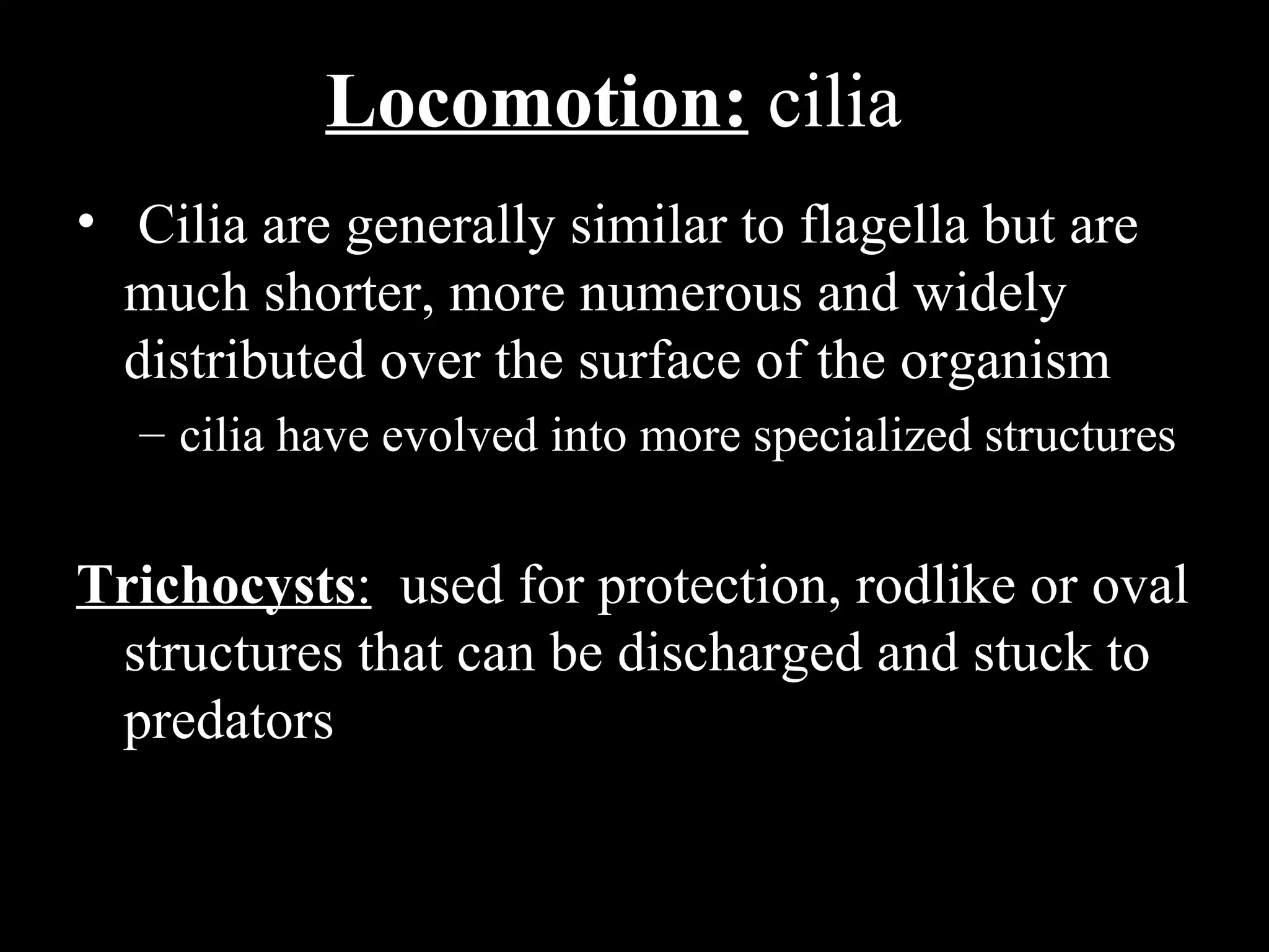 Protozoa | PPT