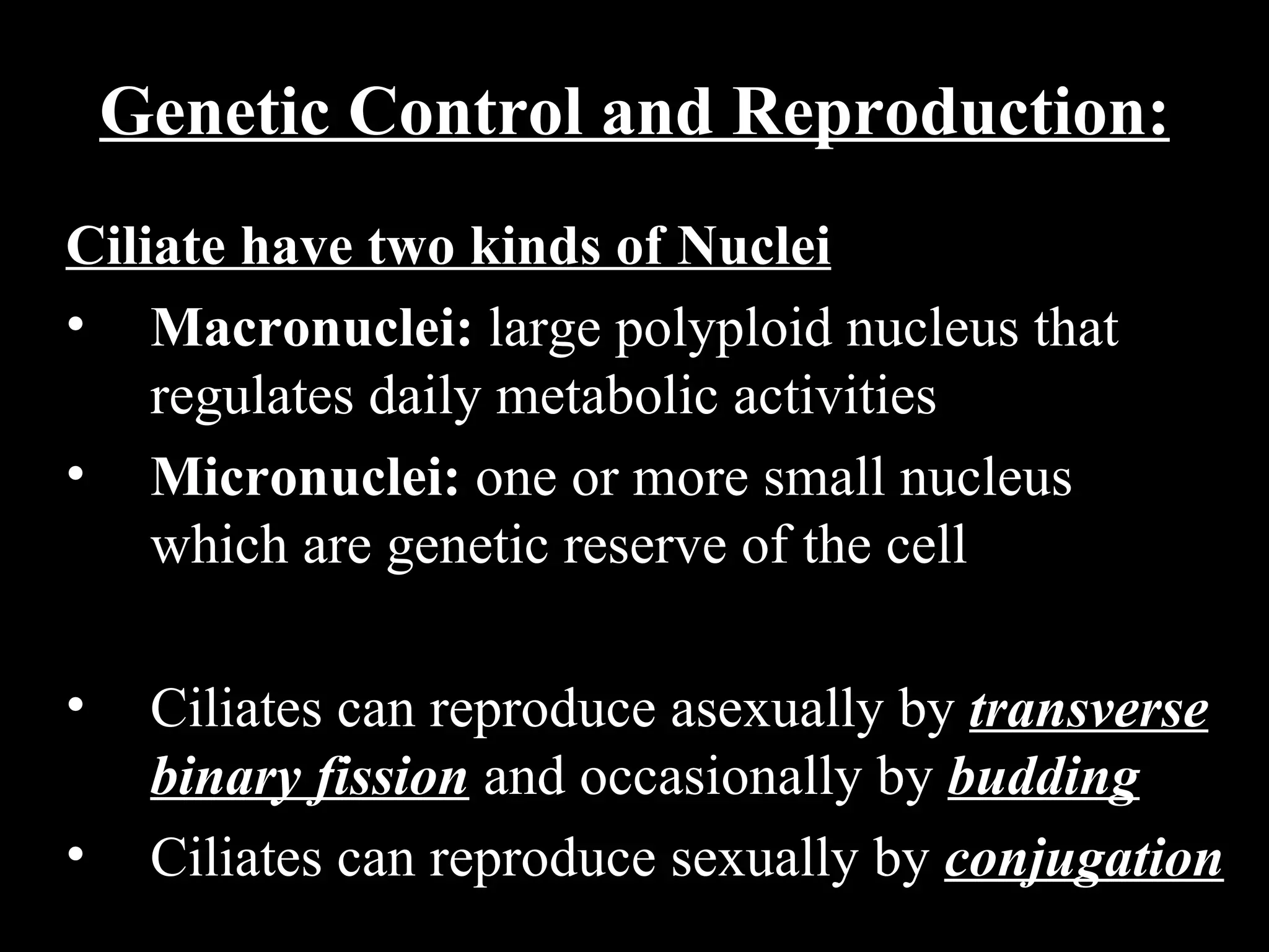 Protozoa | PPT