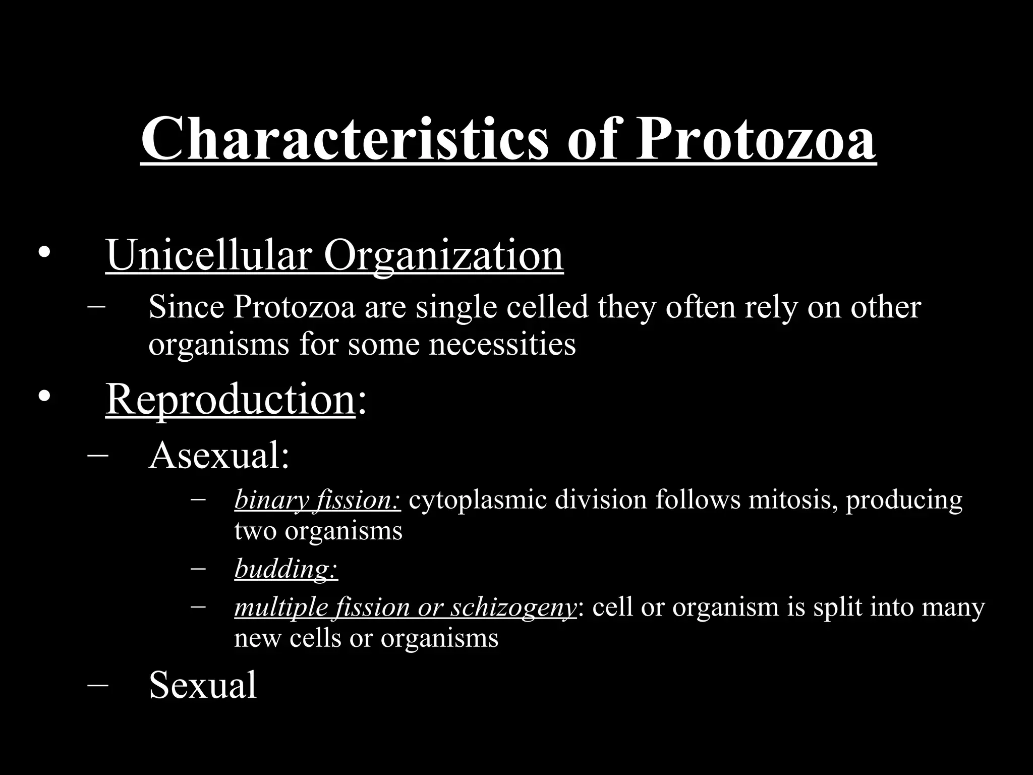 Protozoa | PPT