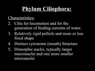 Protozoa | PPT