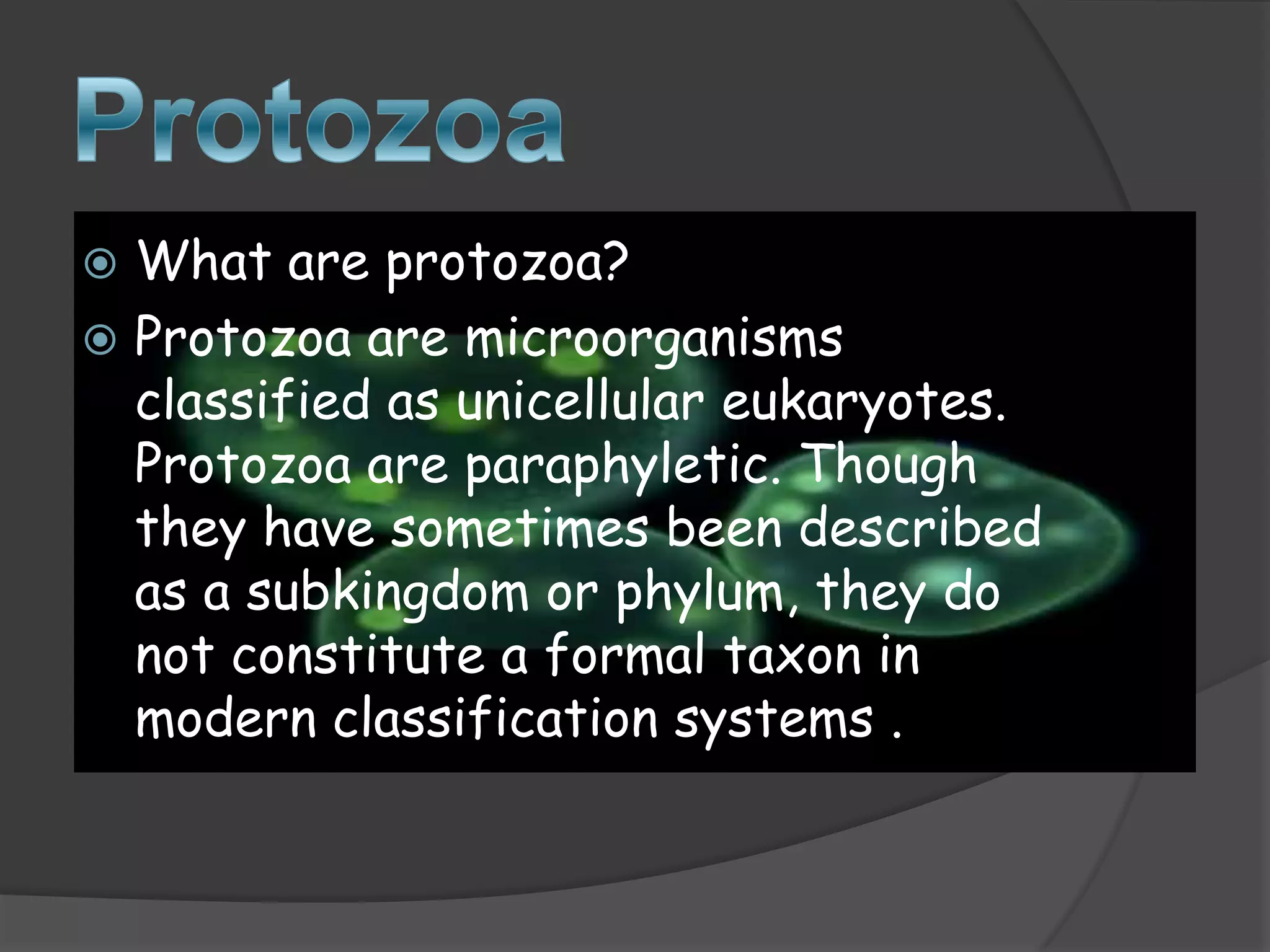 Protozoa | PPTX