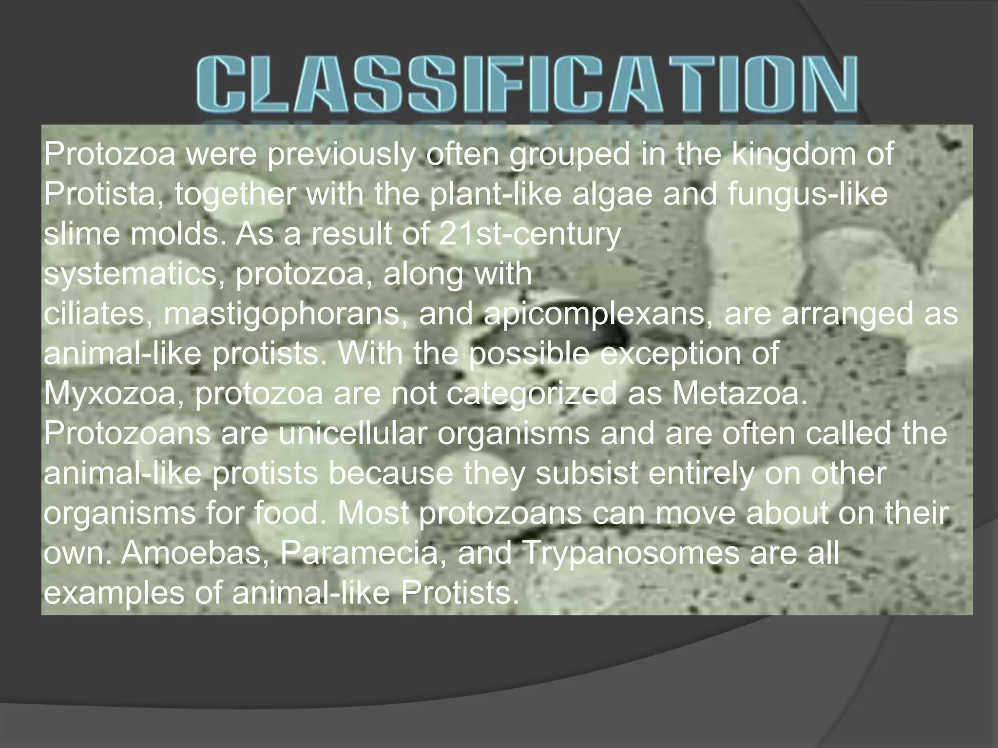 Protozoa | PPT
