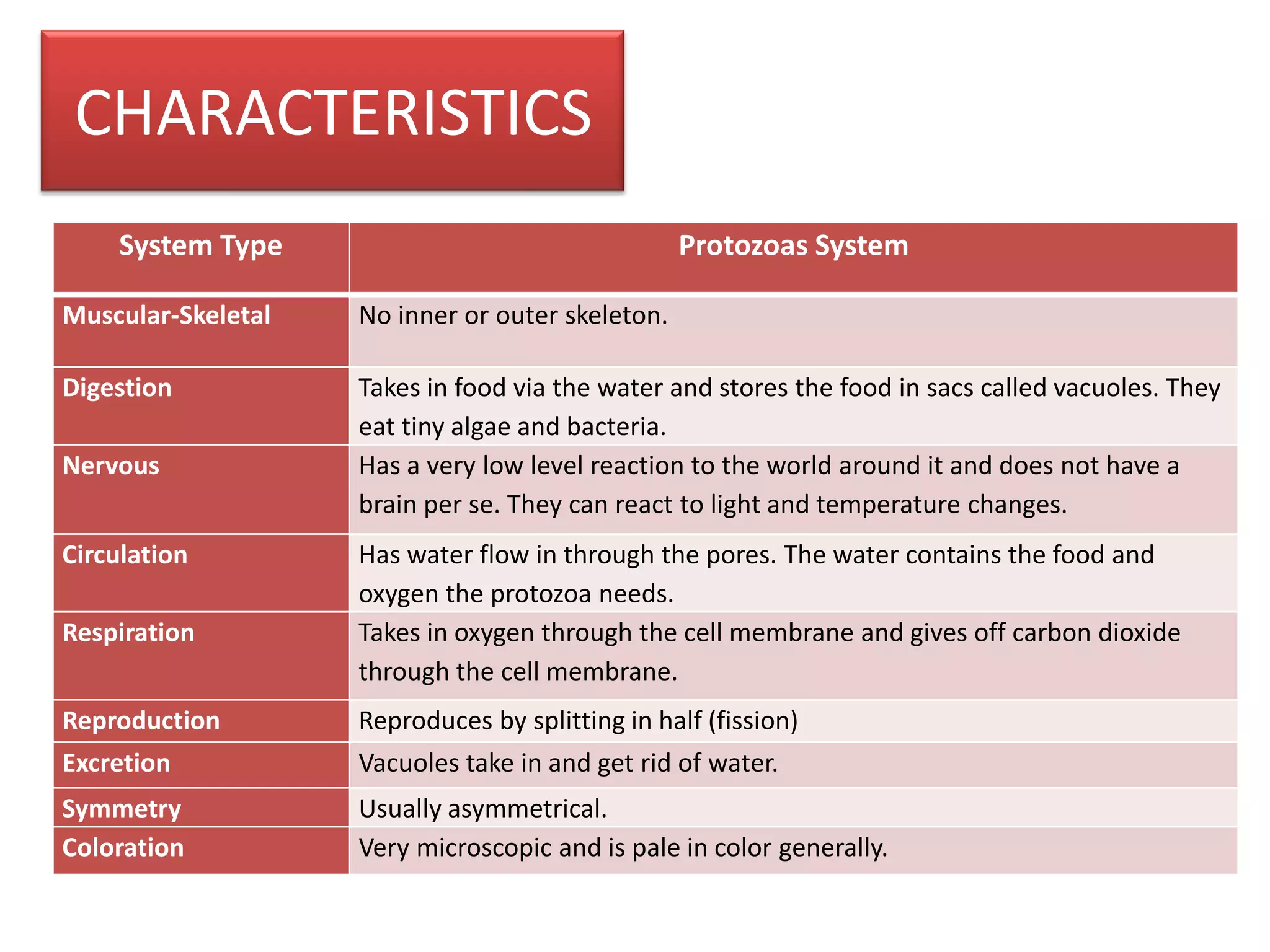 Protozoa | PPTX