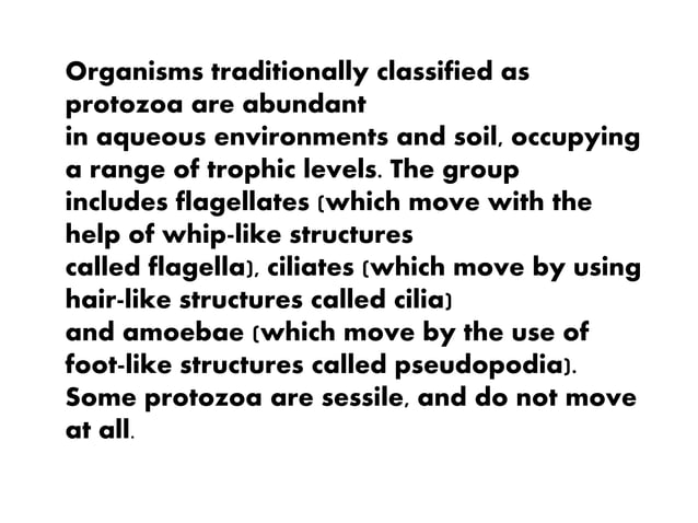 Protozoa | PPTX | Biological Sciences | Science