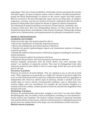 Protozoa | PDF
