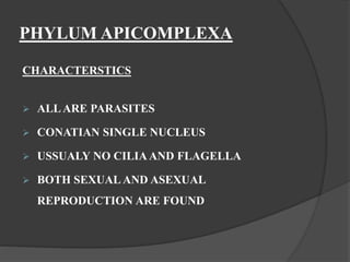 Protozoa over all view. | PPTX