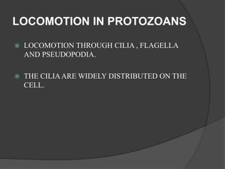 Protozoa over all view. | PPTX