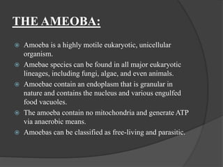 Protozoa over all view. | PPTX