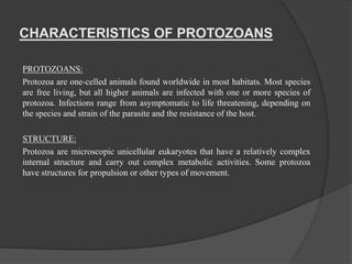 Protozoa over all view. | PPTX
