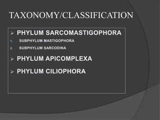 Protozoa over all view. | PPTX