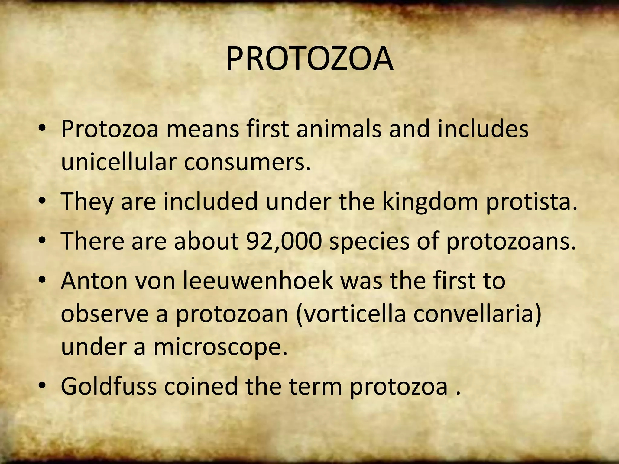 Protozoa | PPTX