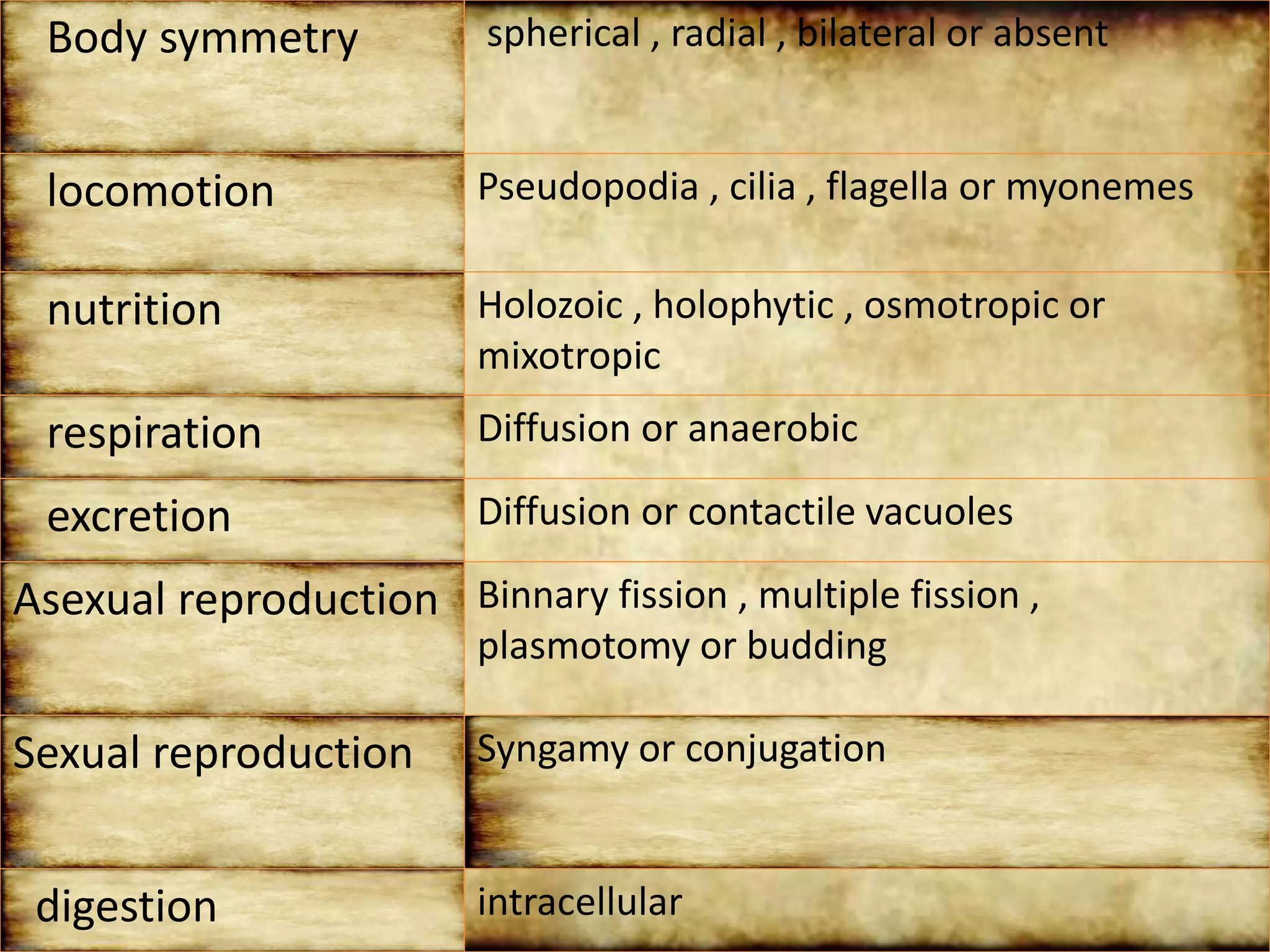 Protozoa | PPTX