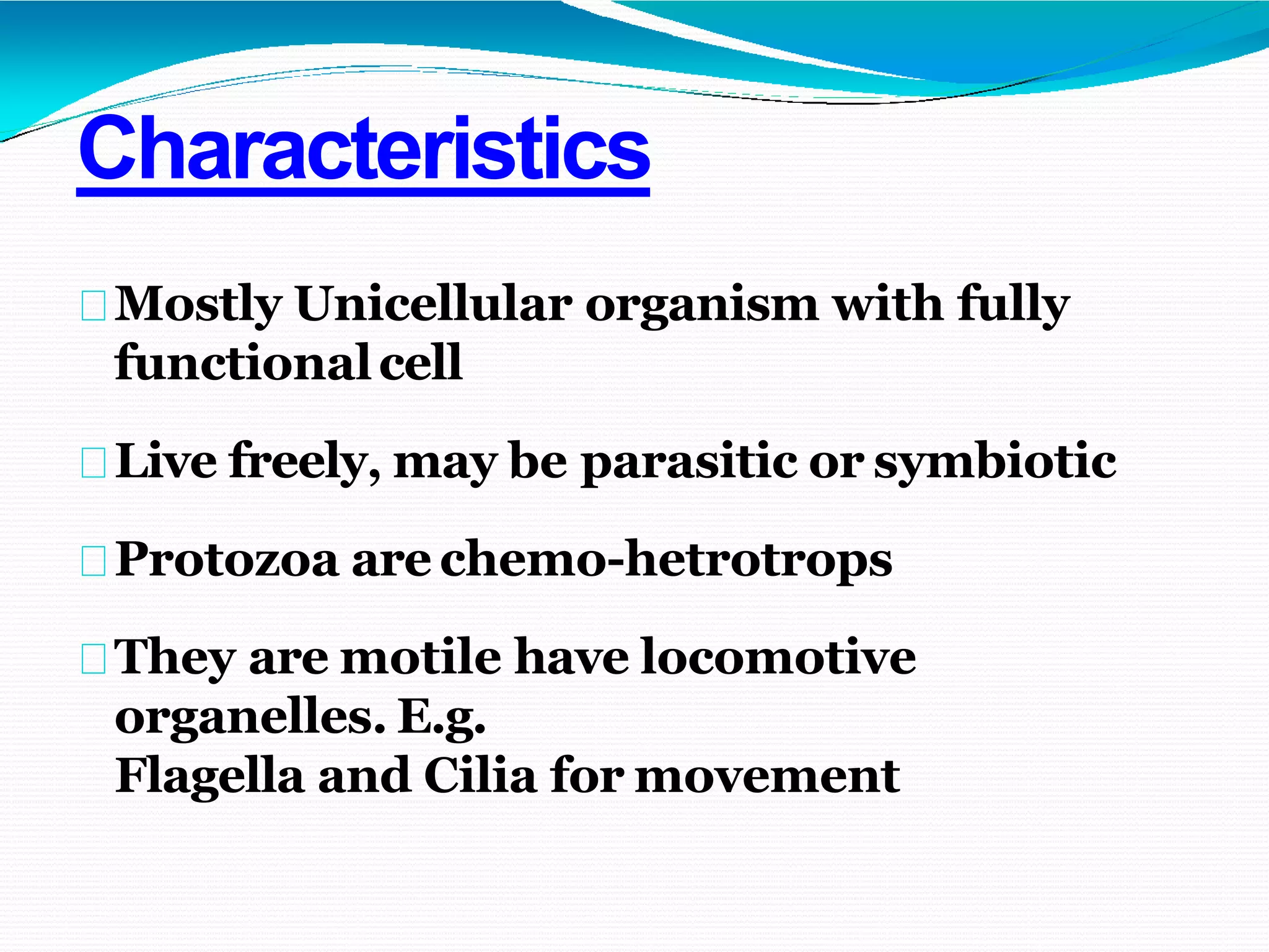 Protozoa | PPTX