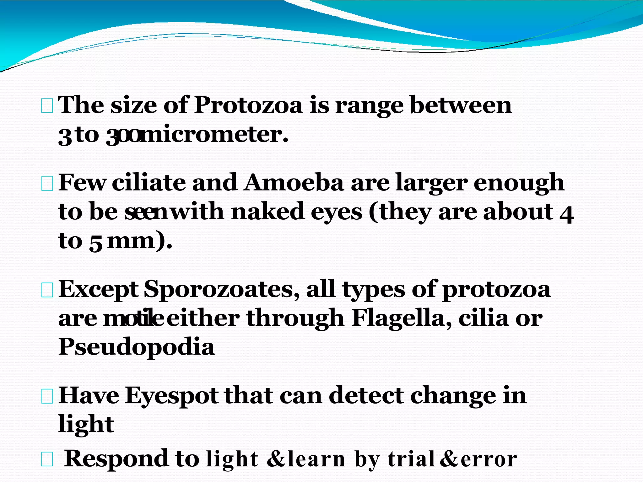 Protozoa | PPTX