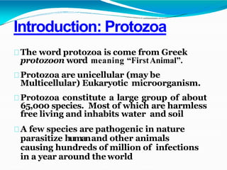 Protozoa | PPTX