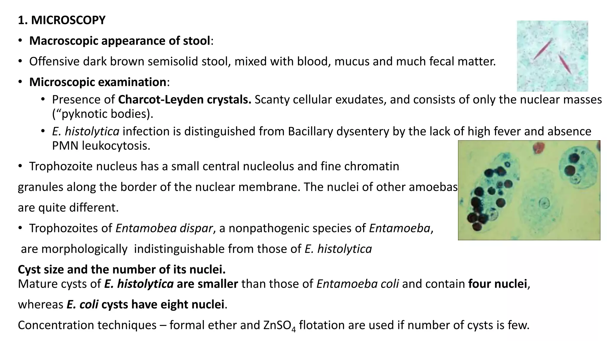 Protozoa - overview & Entamoeba histolytica | PPTX