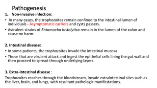 Protozoa - overview & Entamoeba histolytica | PPTX