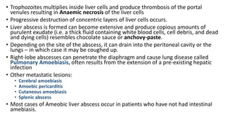Protozoa - overview & Entamoeba histolytica | PPTX