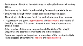 Protozoa - overview & Entamoeba histolytica | PPTX