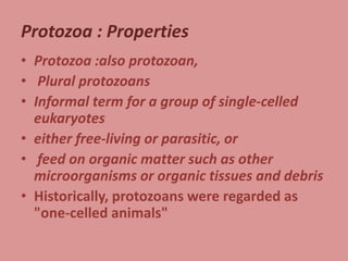 Protozoa | PPTX