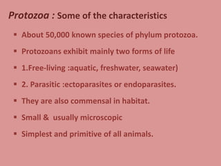 Protozoa | PPTX