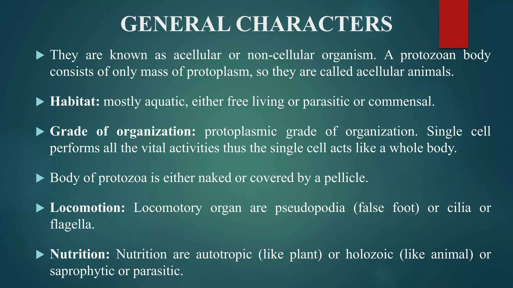 Protozoa by Amit Rulhania | PPTX