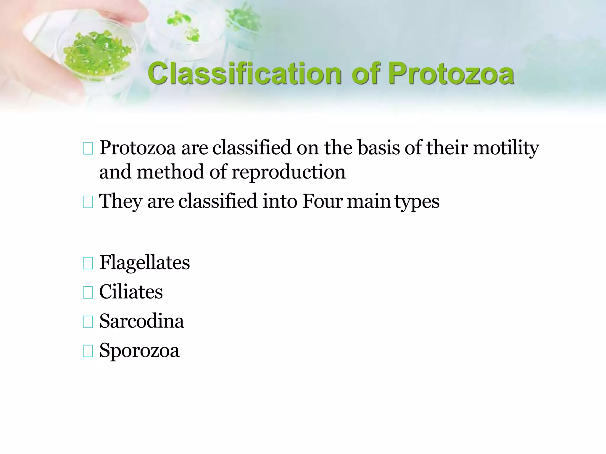 Protozoa | PPTX