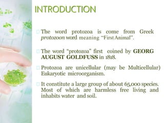 Protozoa | PPTX | Biological Sciences | Science