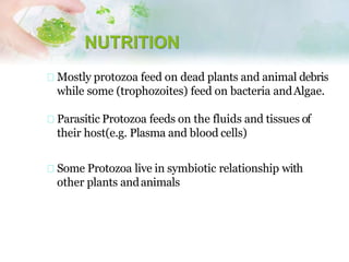 Protozoa | PPTX