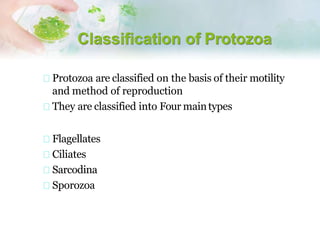 Protozoa | PPTX