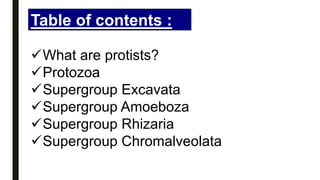Protozoa animal like protists (supergroups) | PPT