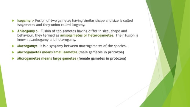 Protozoa Sexual Reproductionpptx