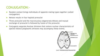 PROTOZOA SEXUAL REPRODUCTION.pptx