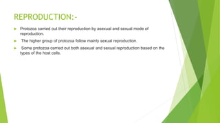 PROTOZOA SEXUAL REPRODUCTION.pptx