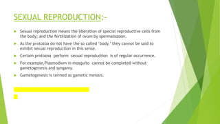 PROTOZOA SEXUAL REPRODUCTION.pptx