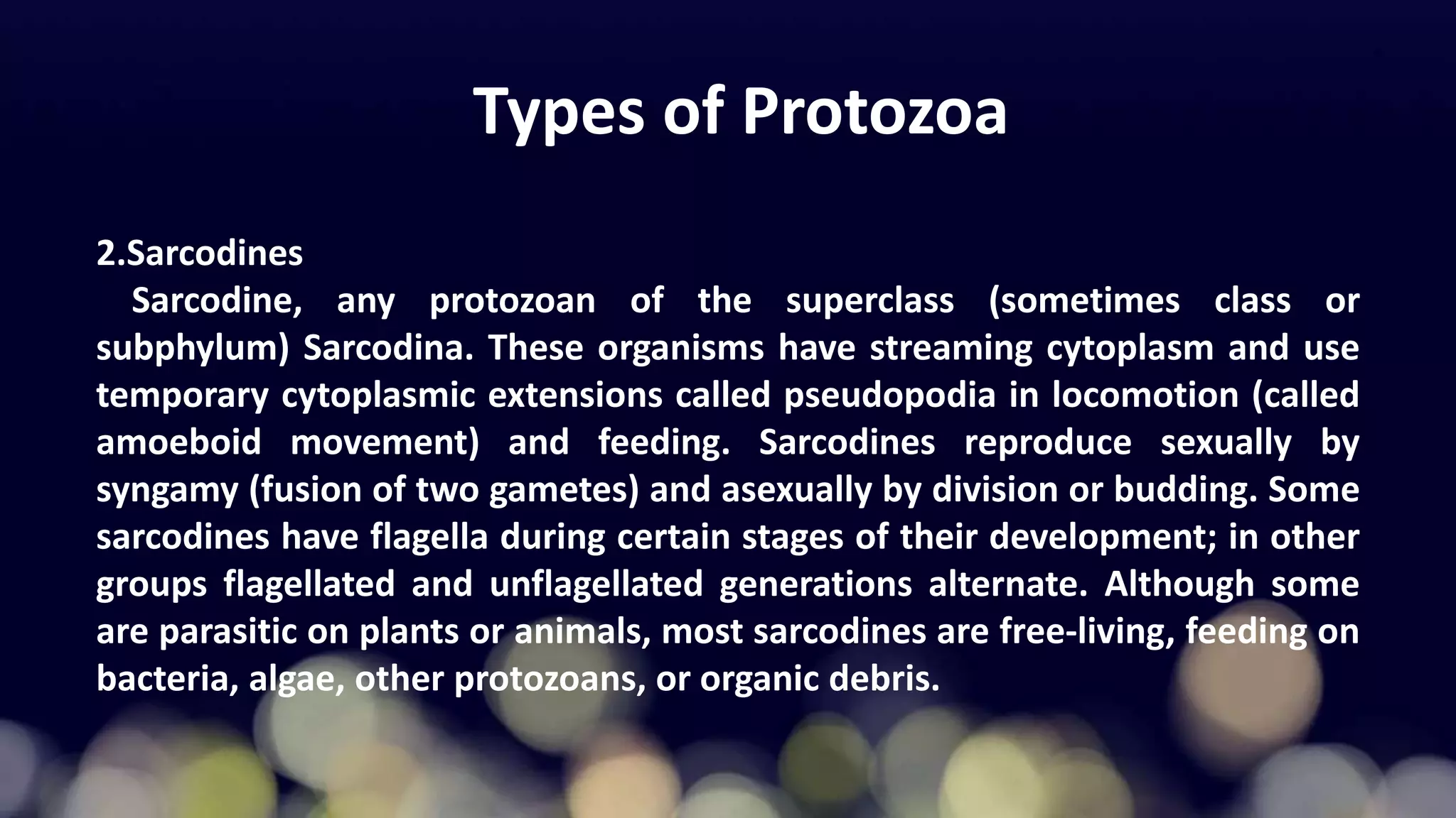 PROTOZOA.pptx