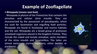 PROTOZOA.pptx