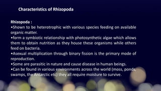 PROTOZOA.pptx