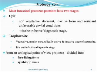 protozoa.ppt