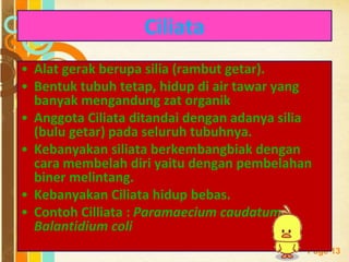 PROTOZOA.pptx