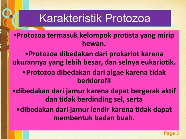 PROTOZOA.pptx